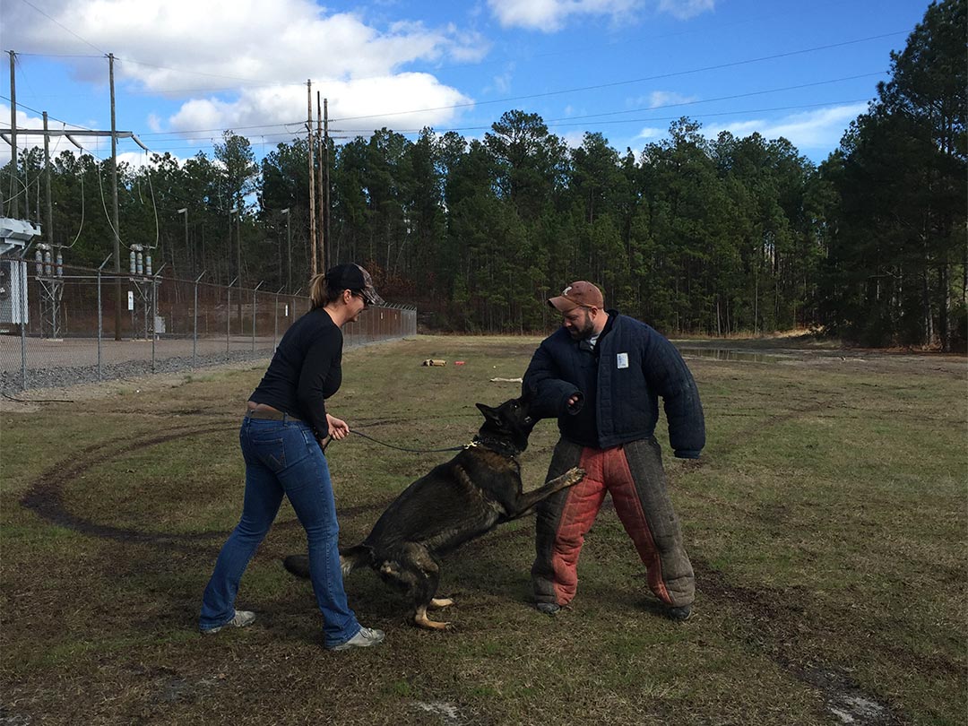 Firearms Training Courses | Tier One Eagle Tactics
